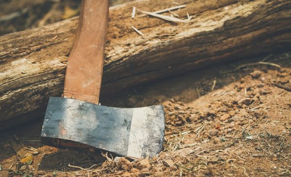 How To Choose An Axe: The Essential Buyers Guide