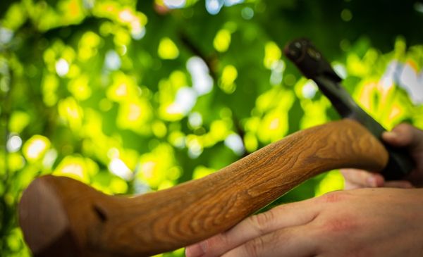 Best Wood For Axe Handles – How To Choose?