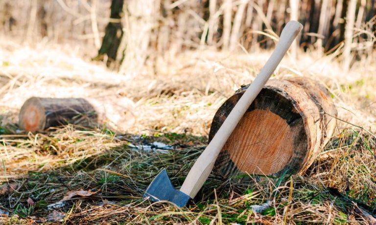 What Is The Best Axe For Cutting Down Trees?